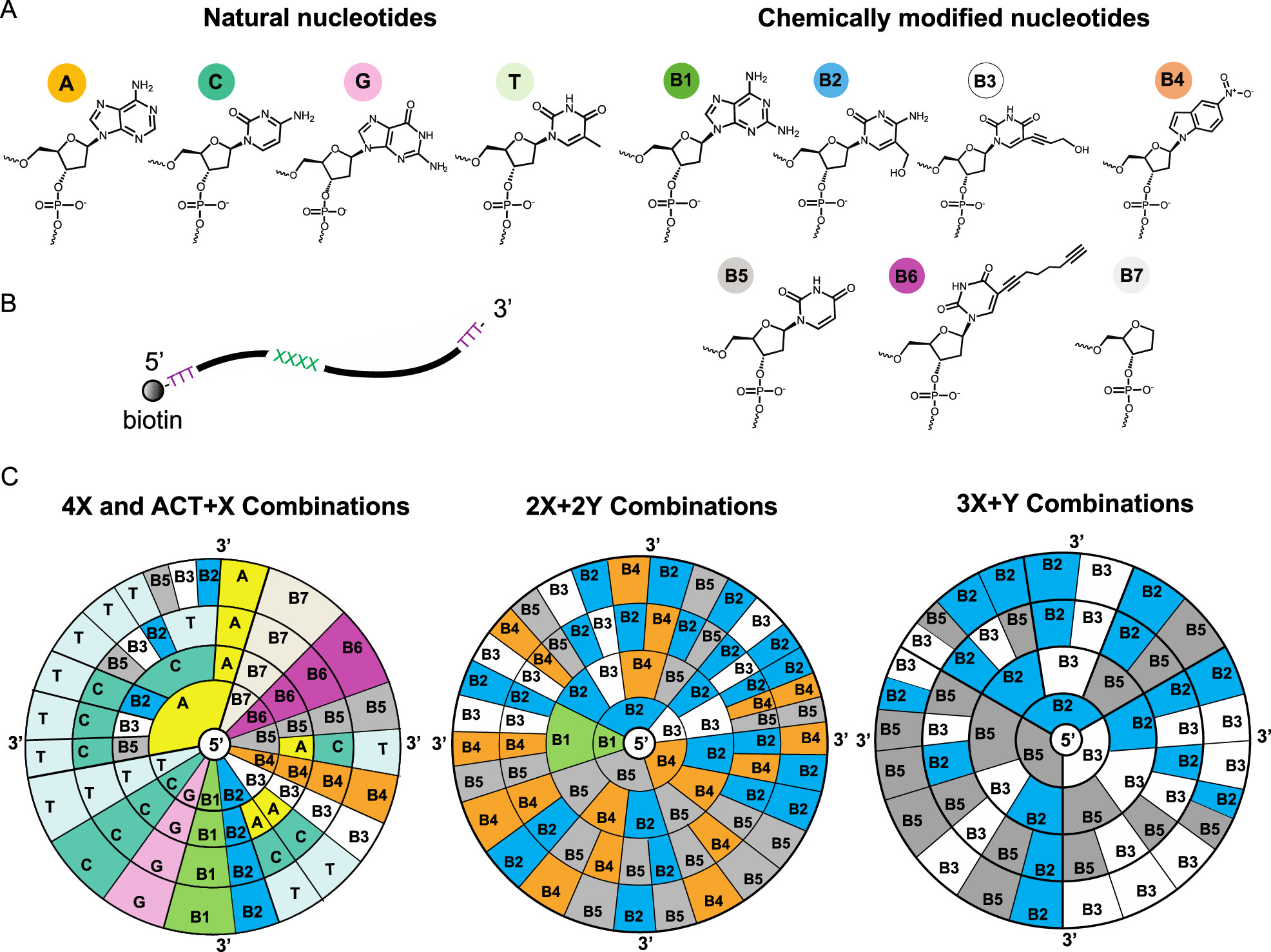 DNA serves as starting point for the next data storage solution – Tug ...